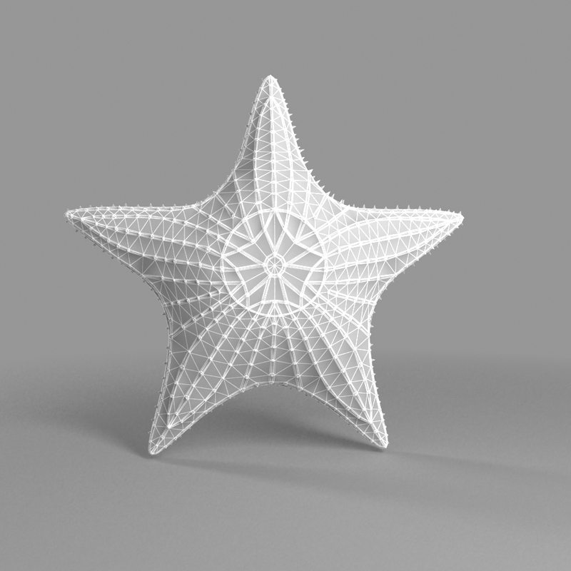 starfish star 3d max