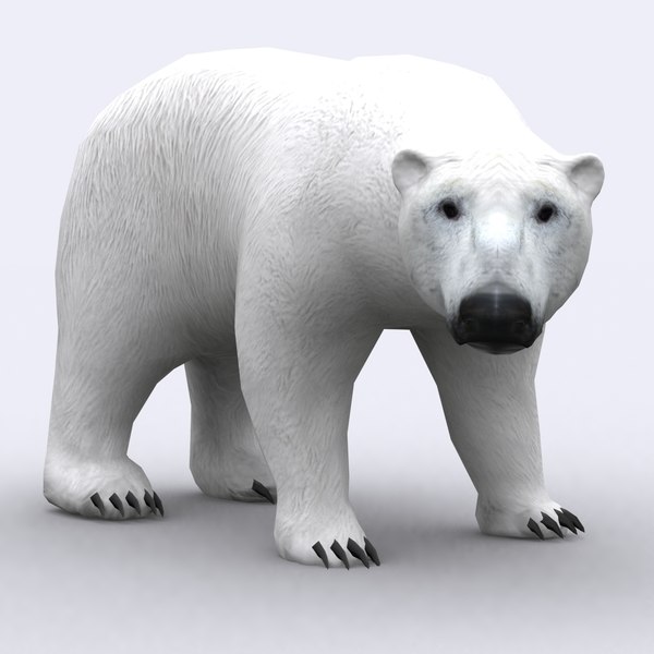 Polar Bear 3D Models for Download | TurboSquid
