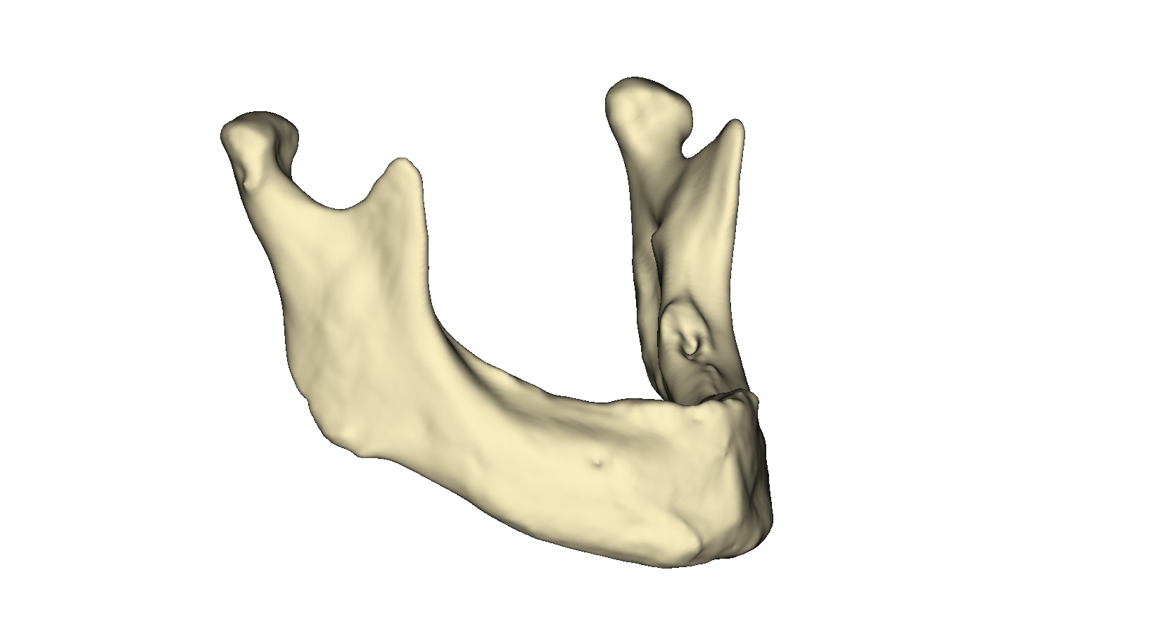 modèle 3D de Mandibule humaine édentée - TurboSquid 929682