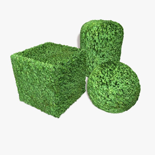 Texture clover seamless green