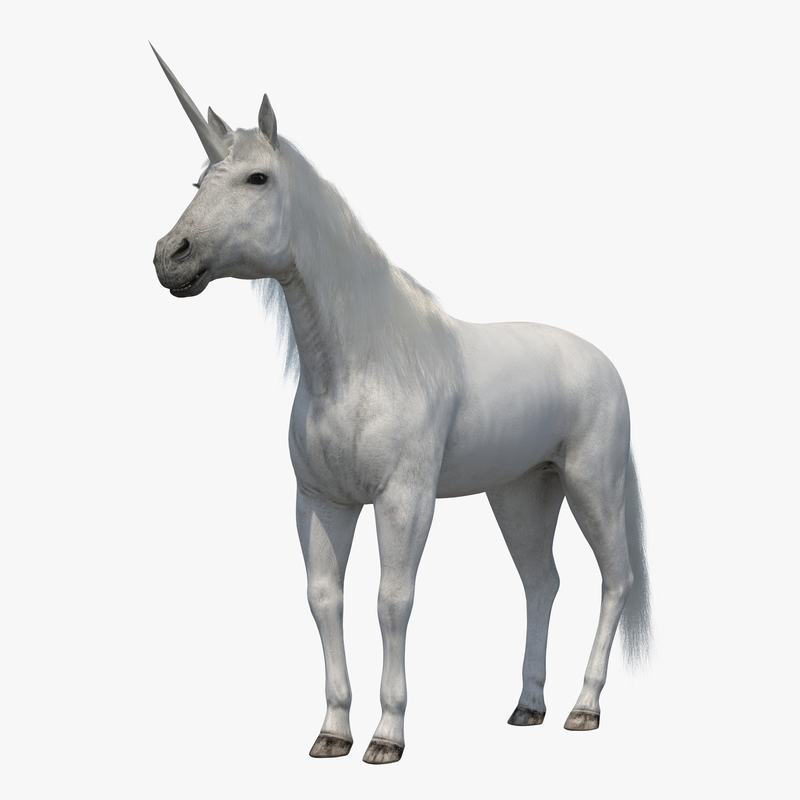 unicorn fur modeled ma