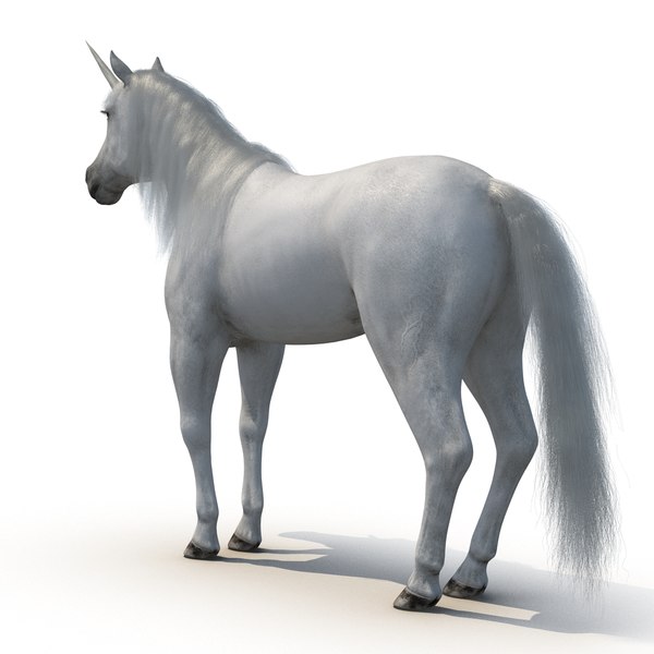 unicorn fur modeled ma