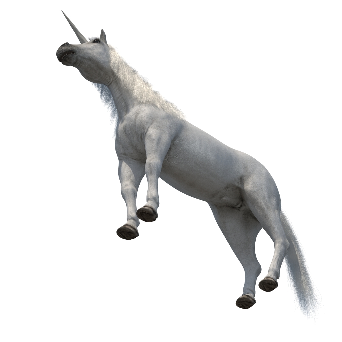 unicorn fur modeled ma