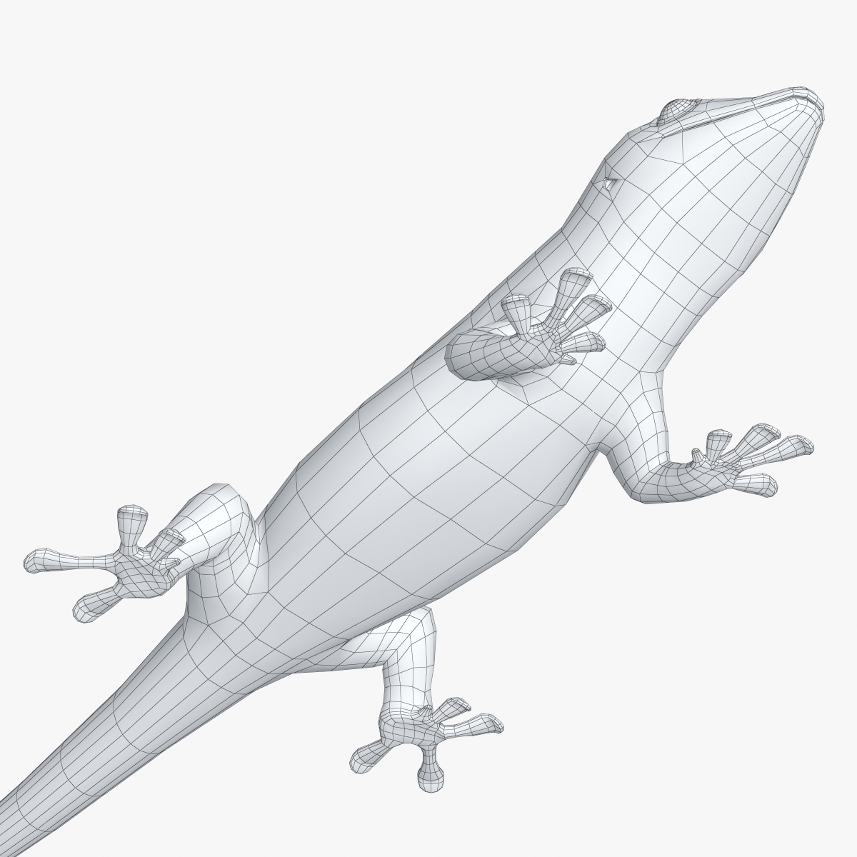 gecko lizard 3d model