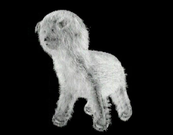 3d model white dog