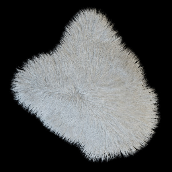 Animal Rug 3D Models for Download | TurboSquid