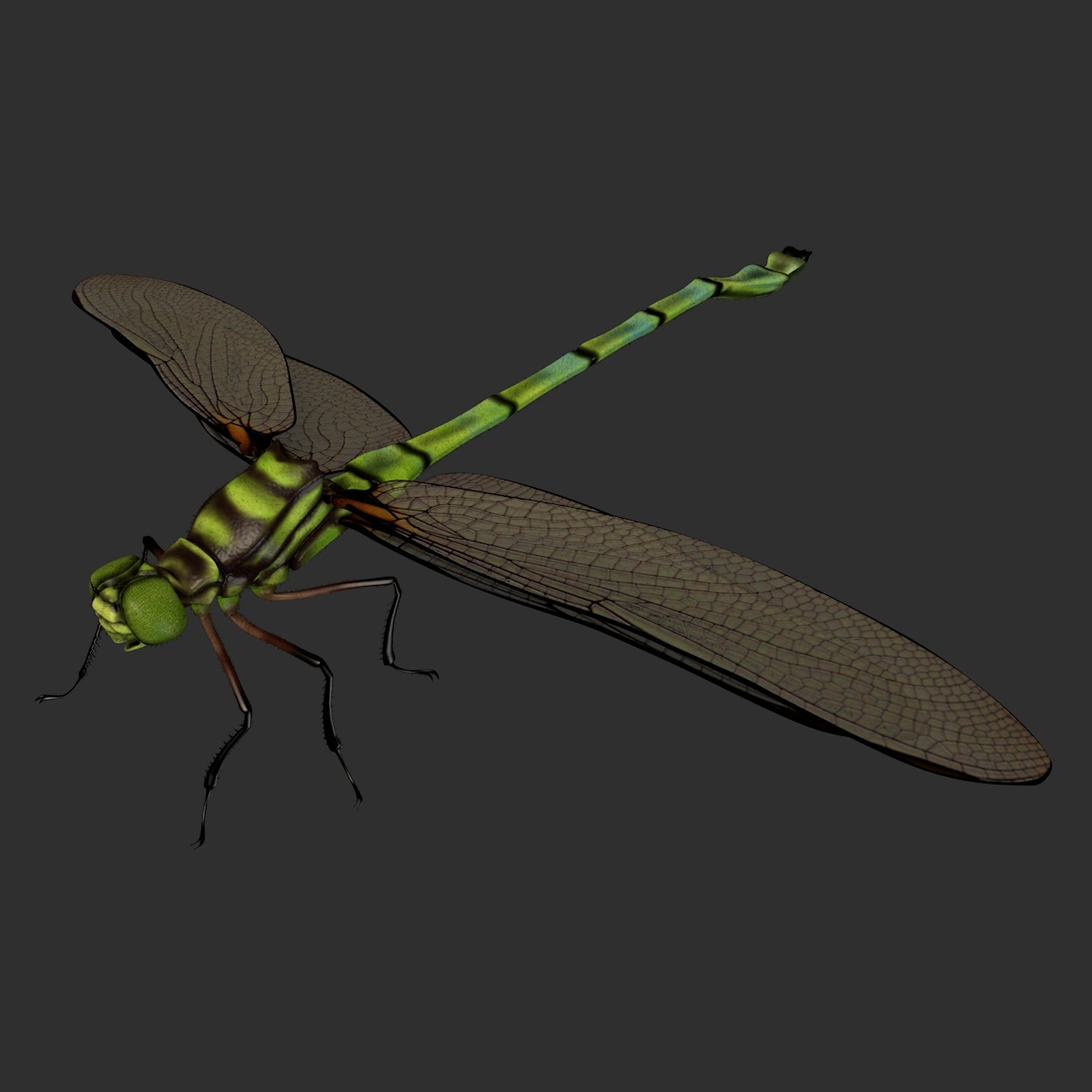 3d dragonfly animation