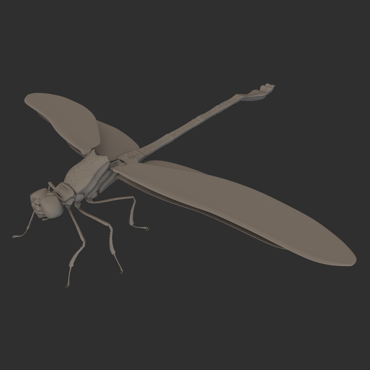 3d dragonfly animation