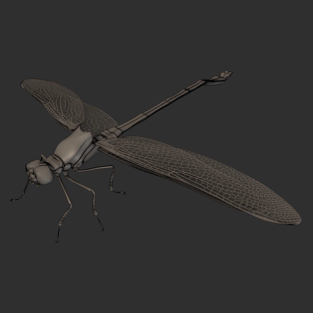 3d dragonfly animation