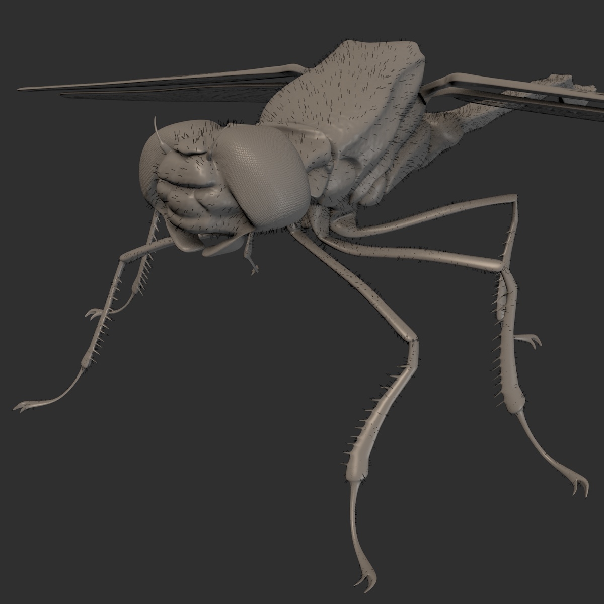 3d dragonfly animation