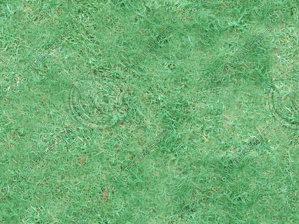 Texture JPEG grass texture