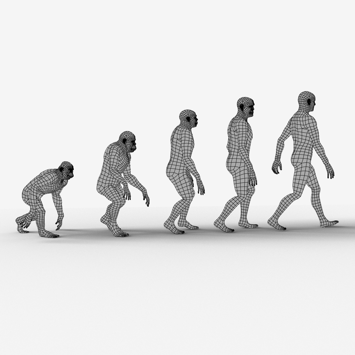 evolution ape 3d obj