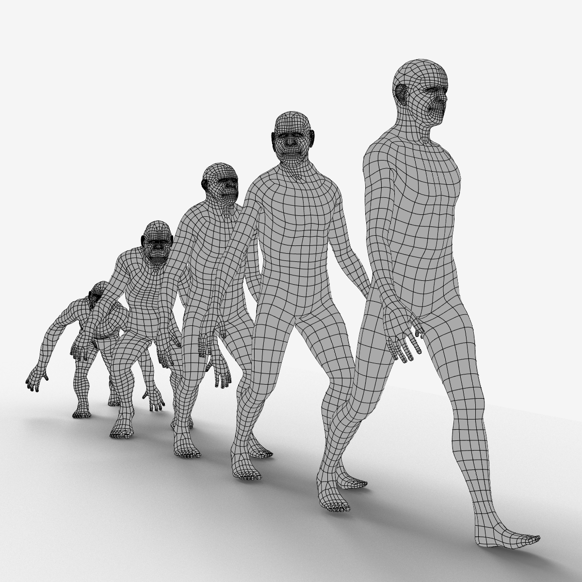 evolution ape 3d obj