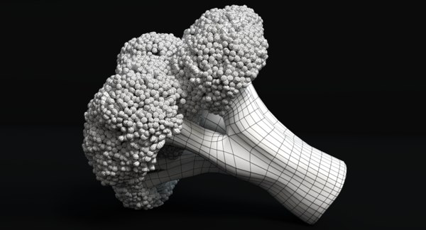 broccoli 3d max