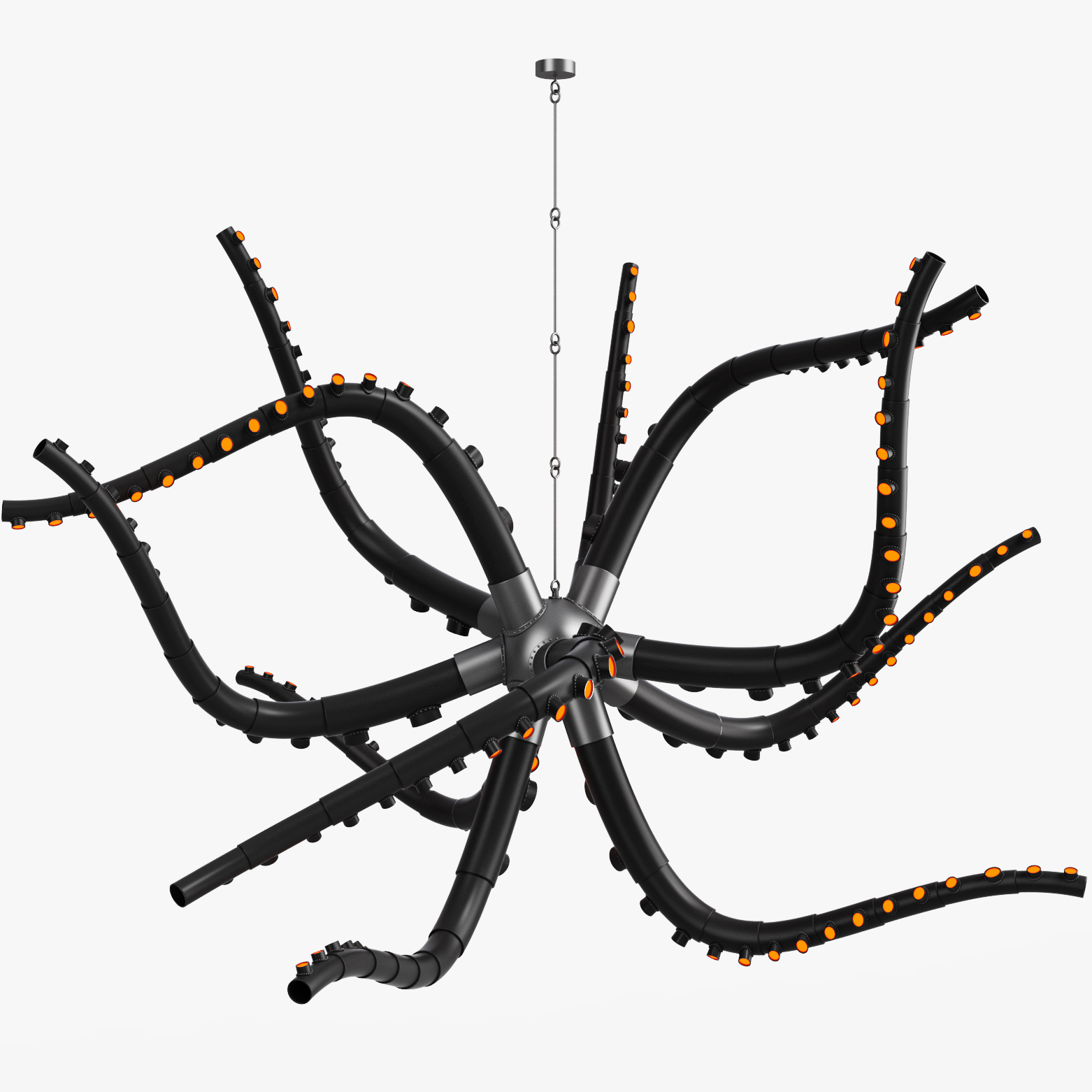 octopus light max free