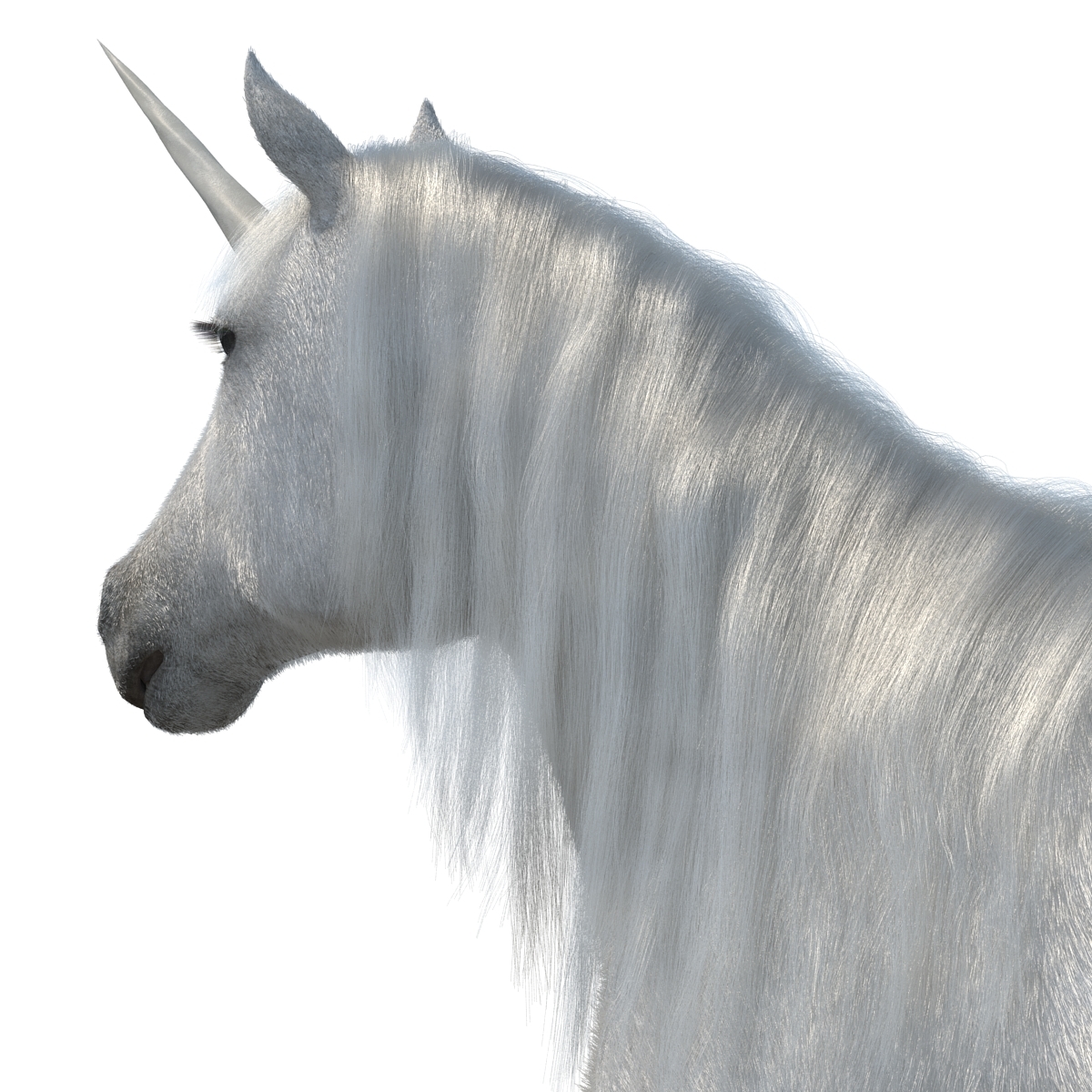 max unicorn fur 2 modeled
