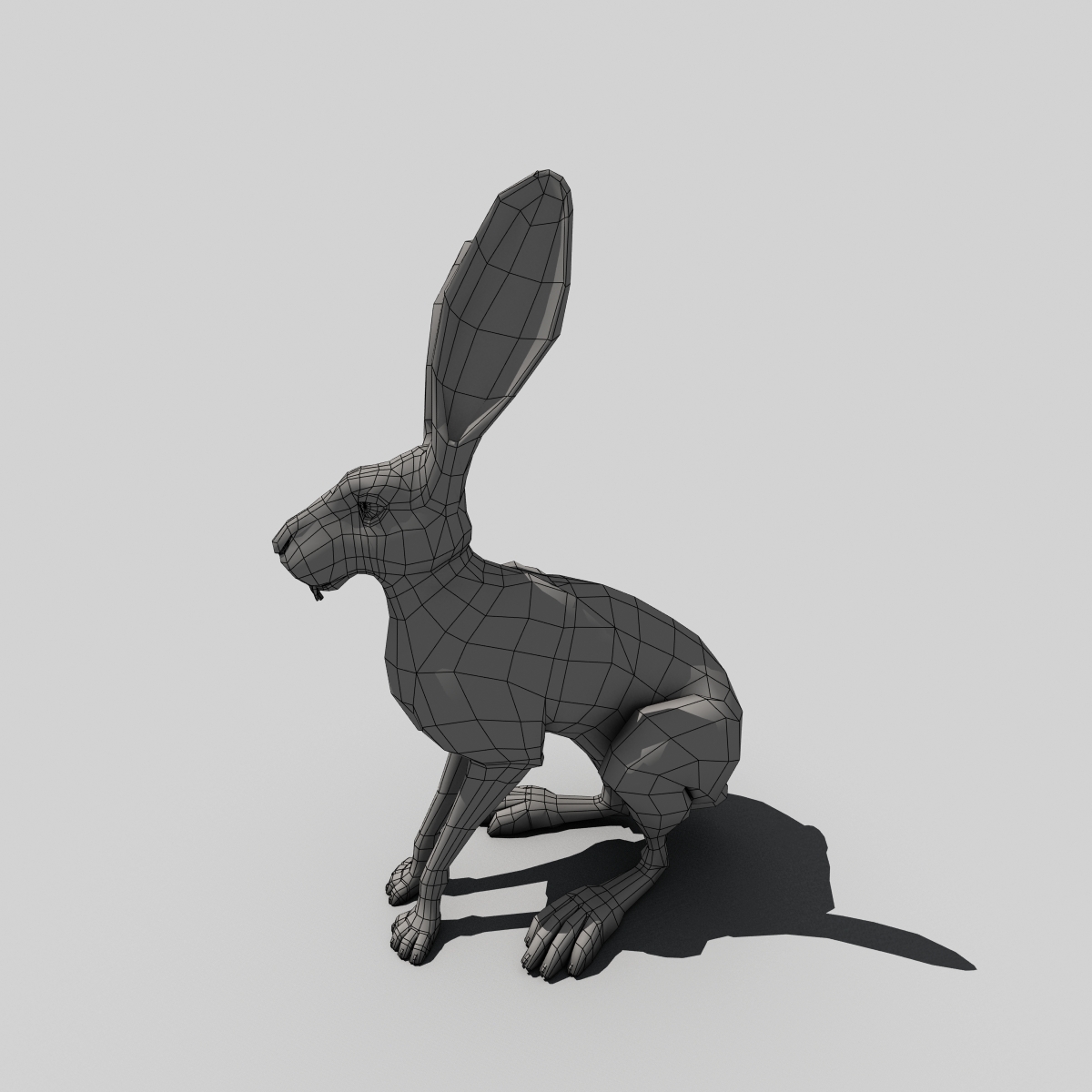 3d rabbit model