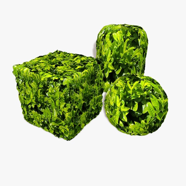 Texture shiny bush seamless