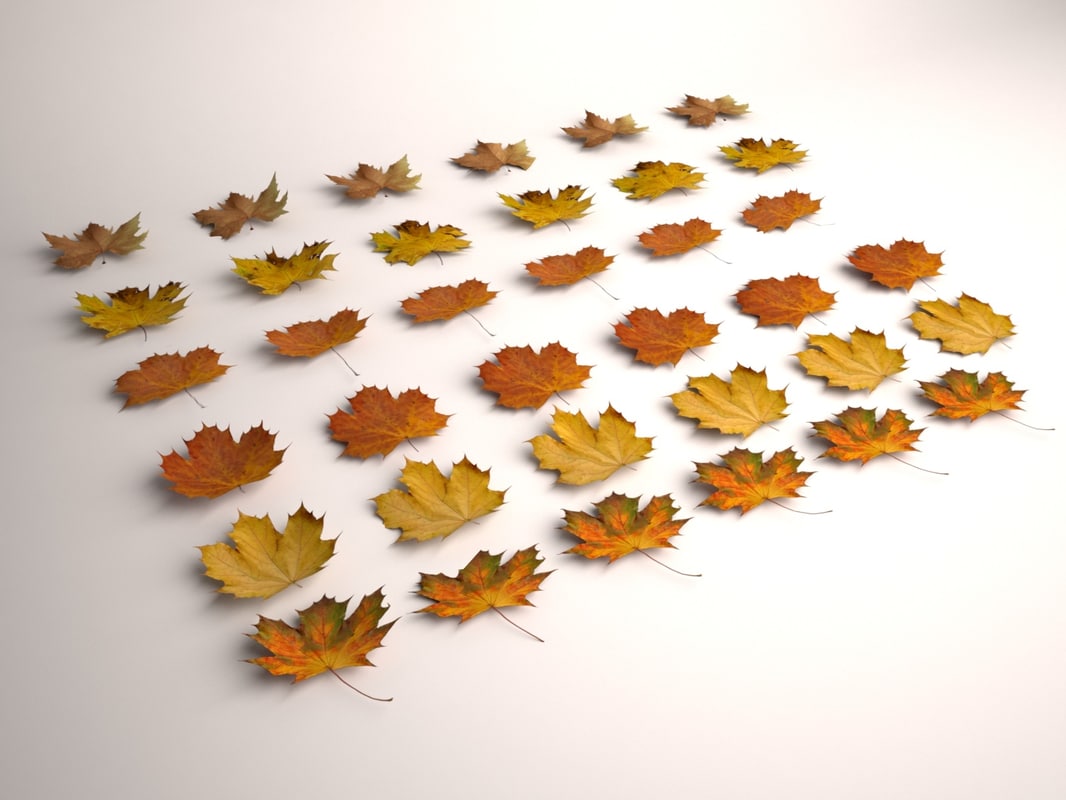 3d model autumn leaves