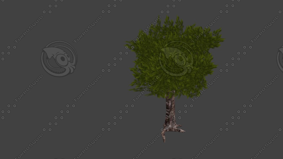 blender tree blender