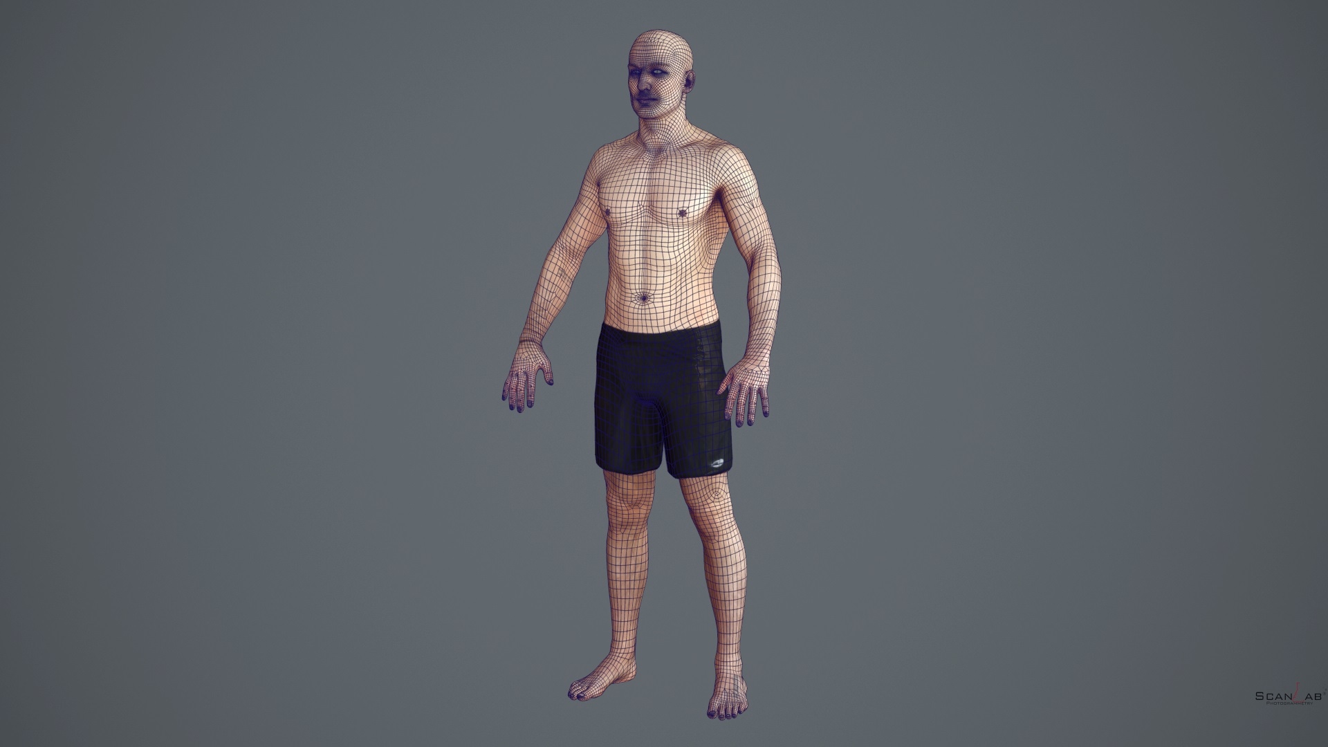 3d model of male body avatar scan