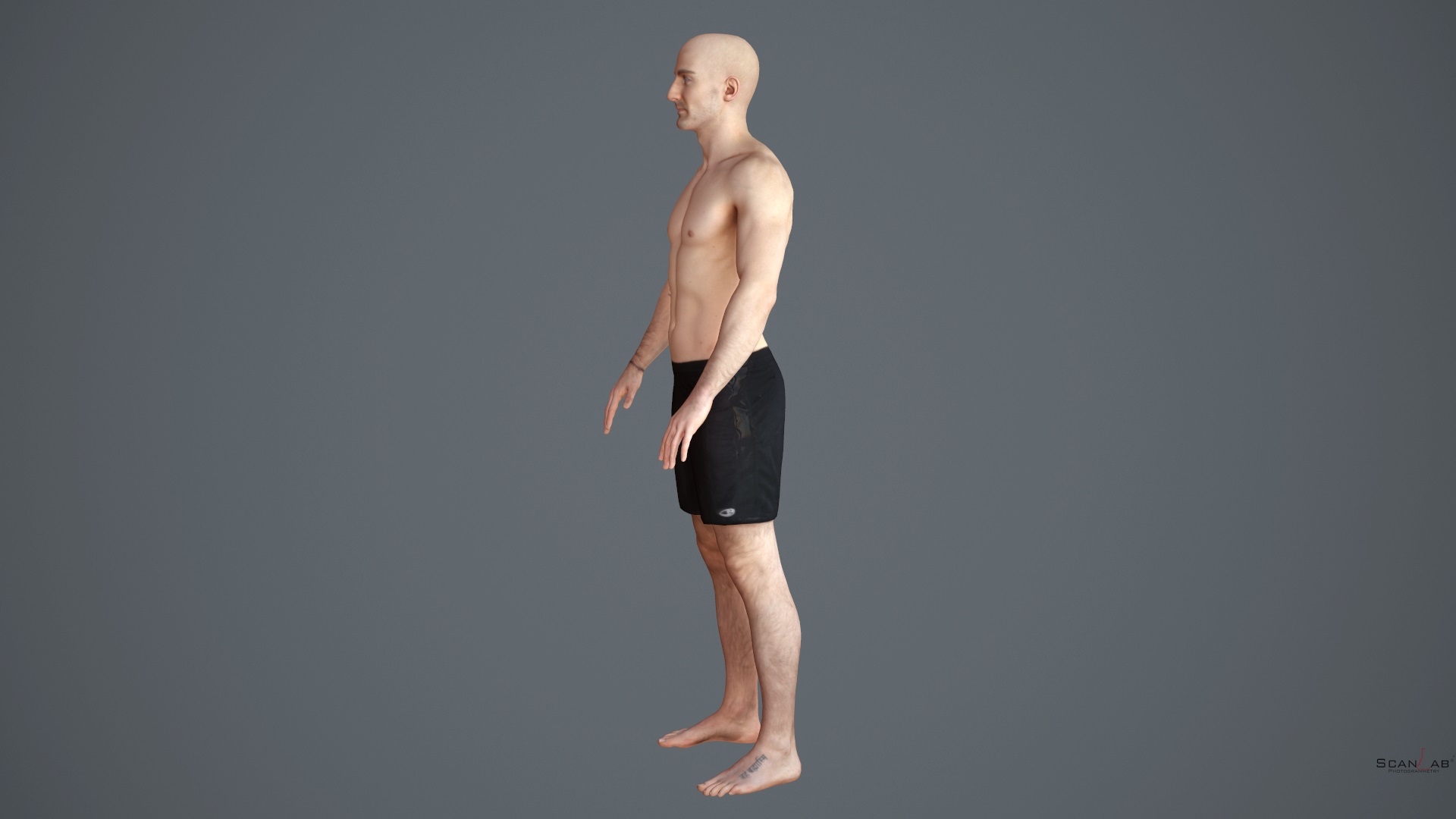 3d model of male body avatar scan