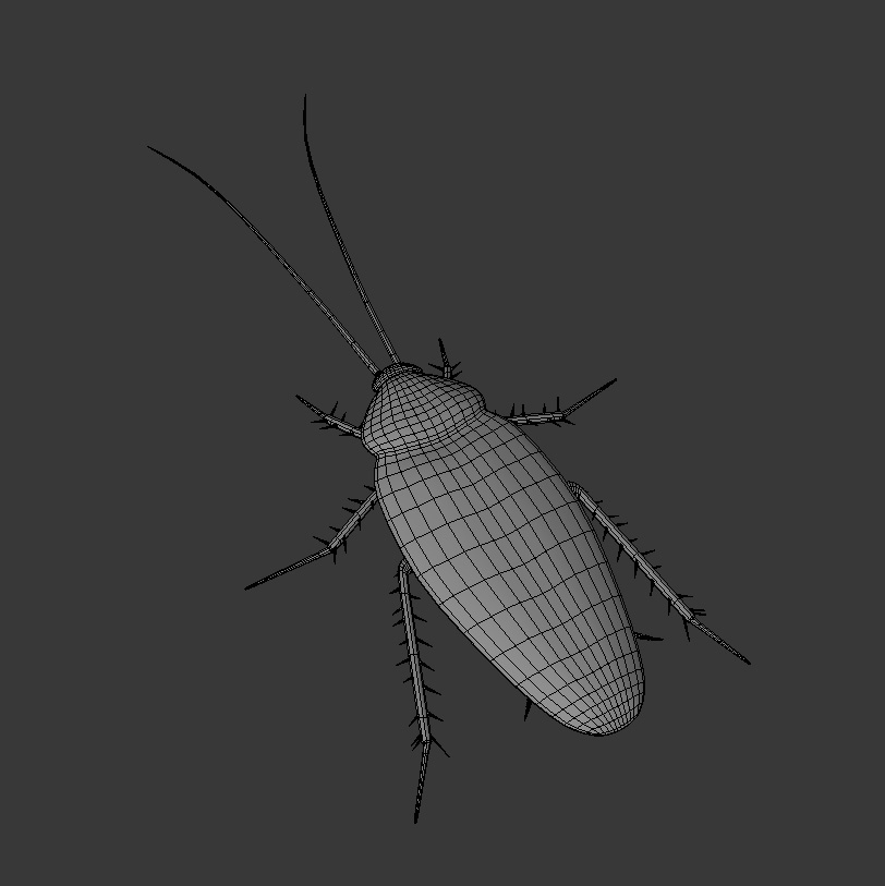 cockroach modeled max