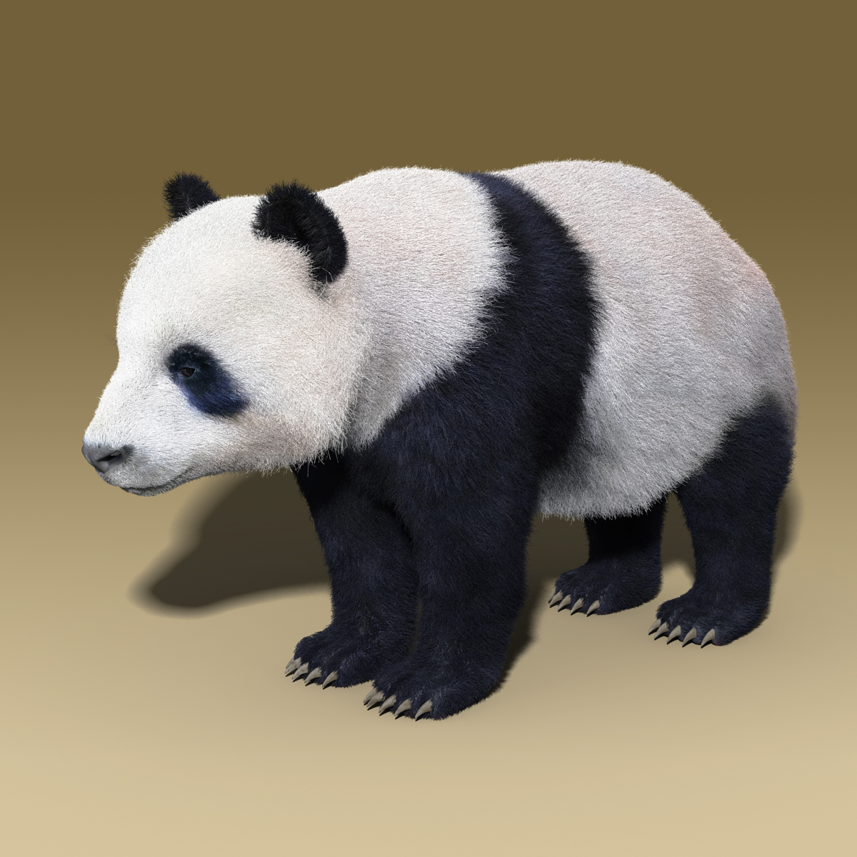 3ds max panda bear fur rigged
