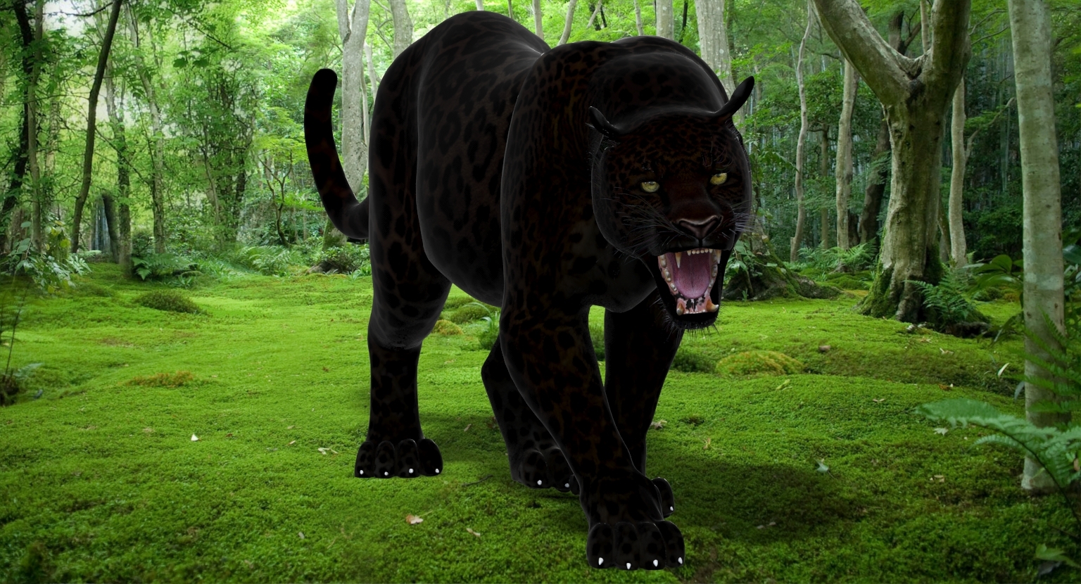 Leopard & Panther (animiert) 3D-Modell - TurboSquid 932338