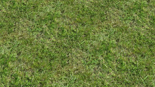 Texture JPEG grass outdoor ground