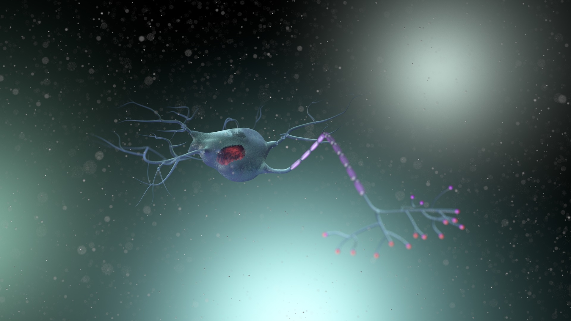 cinema4d neuron dendrites axon