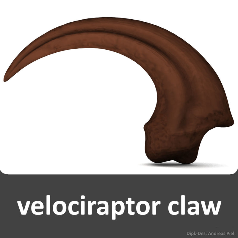realistic velociraptor claw 3d 3ds