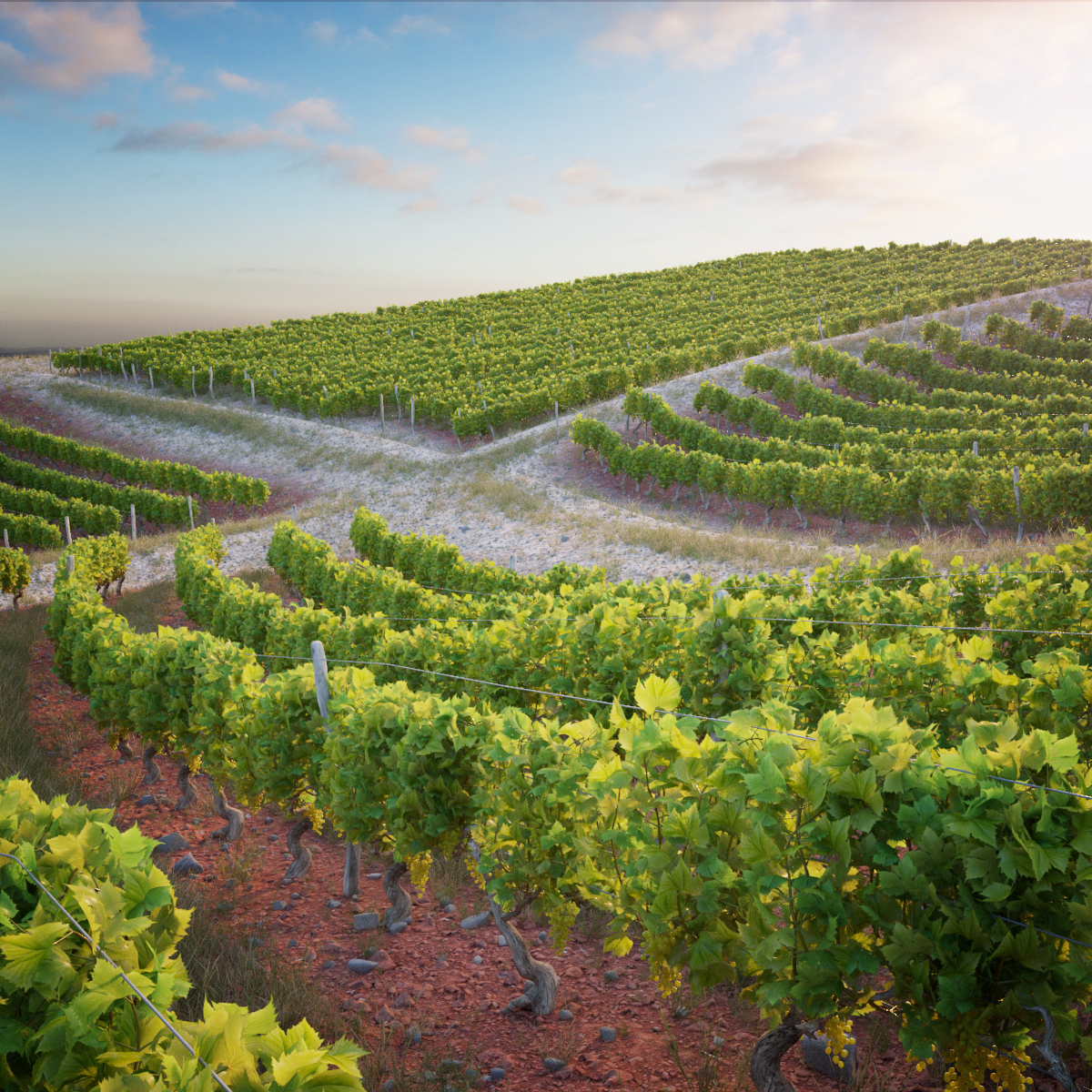 realistic vineyards max