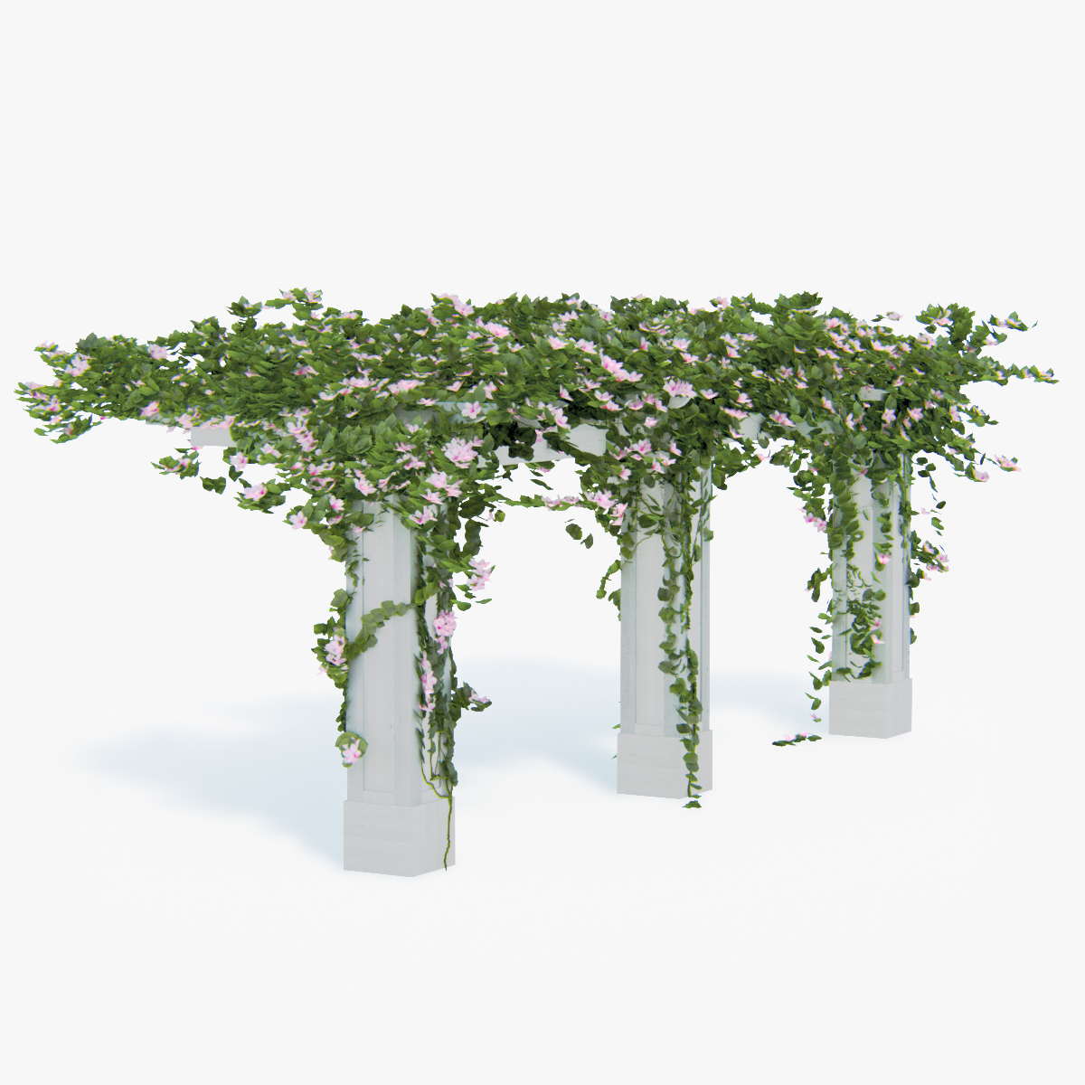 3d max pergola climbing roses flowers