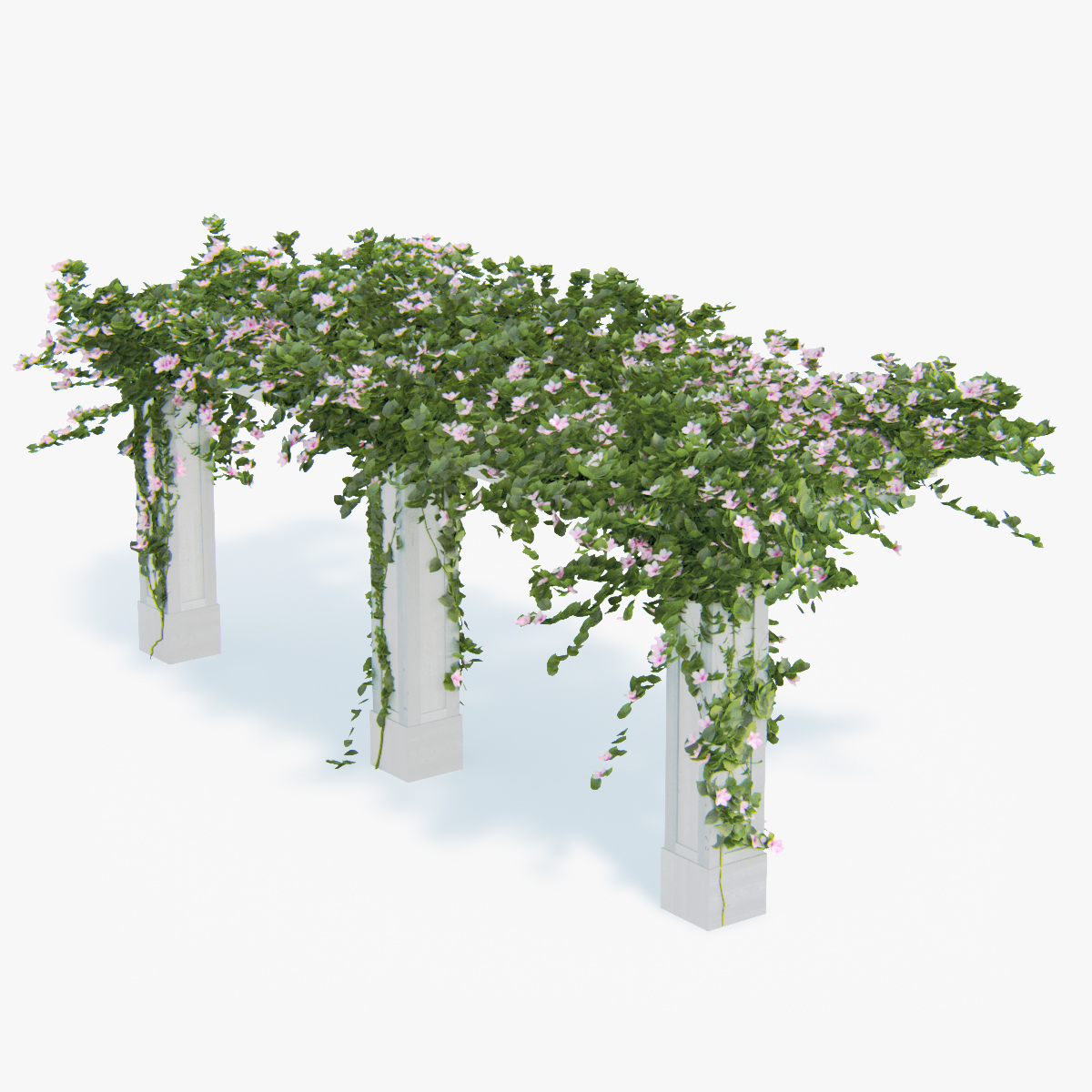 3d max pergola climbing roses flowers