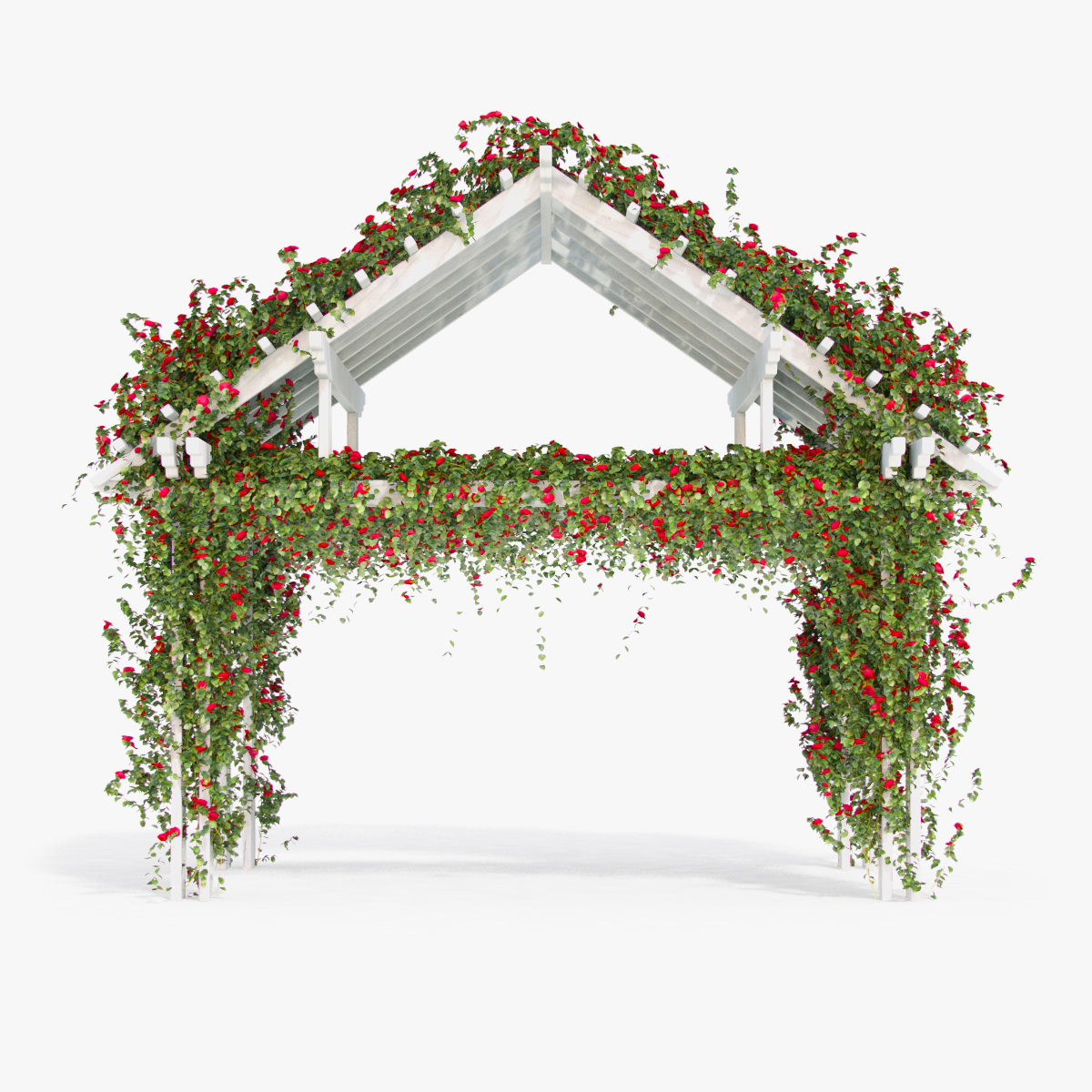3d model pergola climbing roses flowers