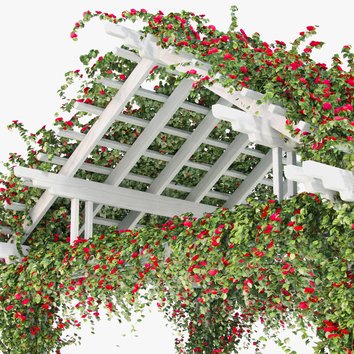 3d model pergola climbing roses flowers