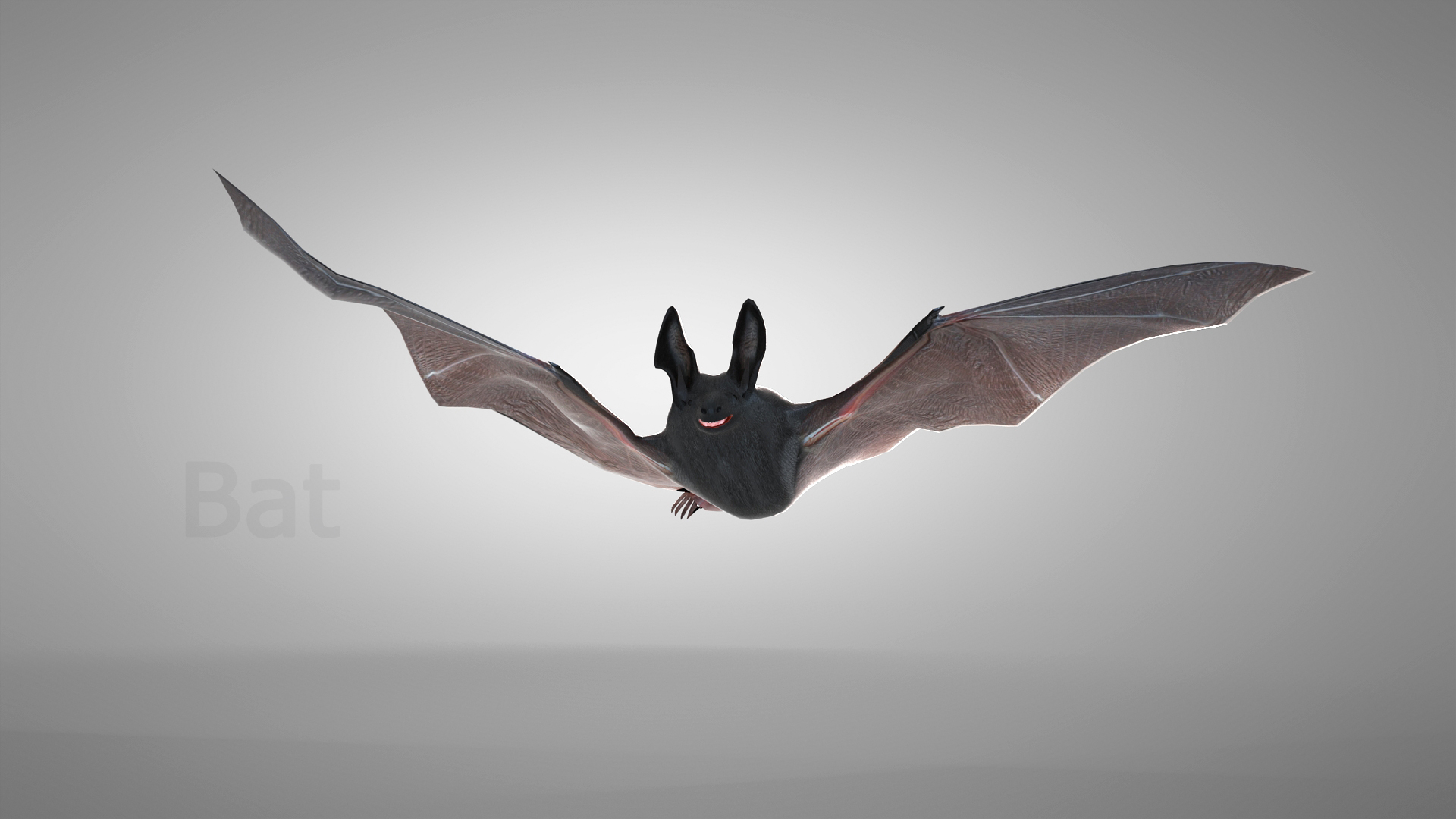 3d bat