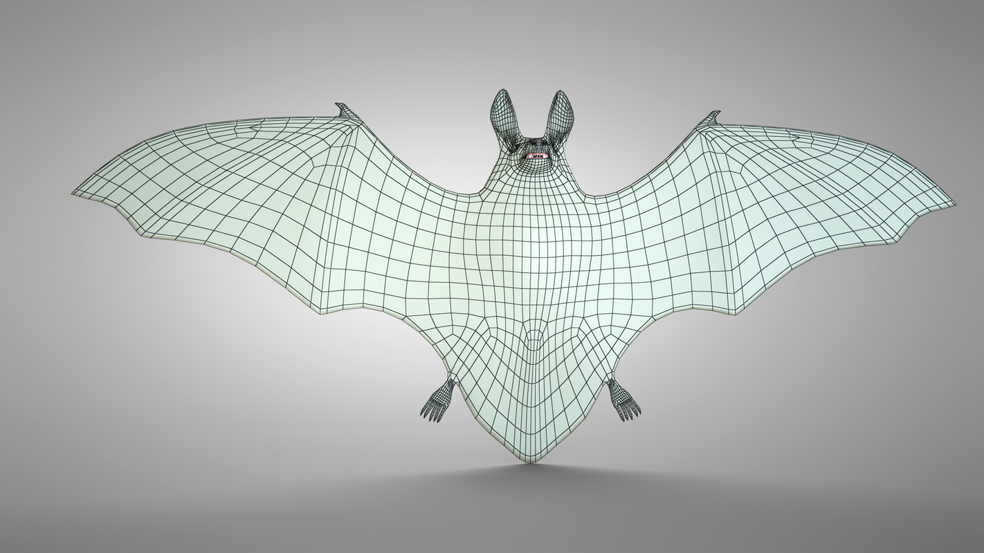 3d bat