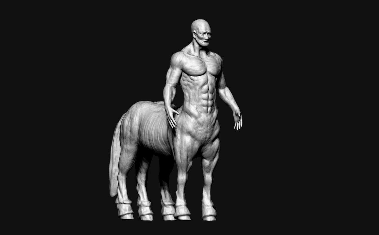 horse human 3d model