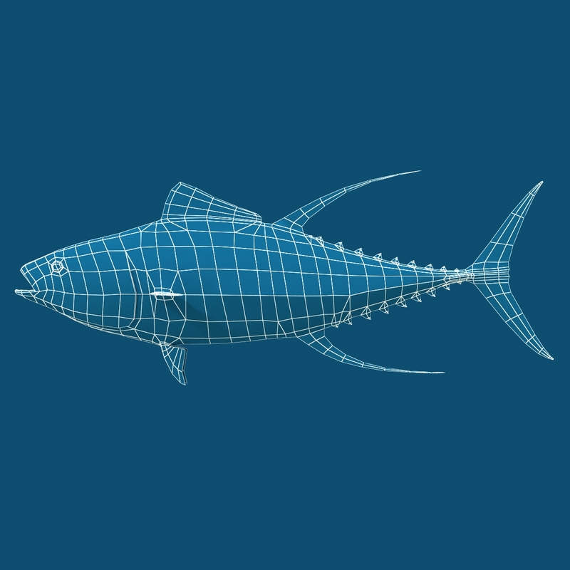 3d model yellowfin tuna fish