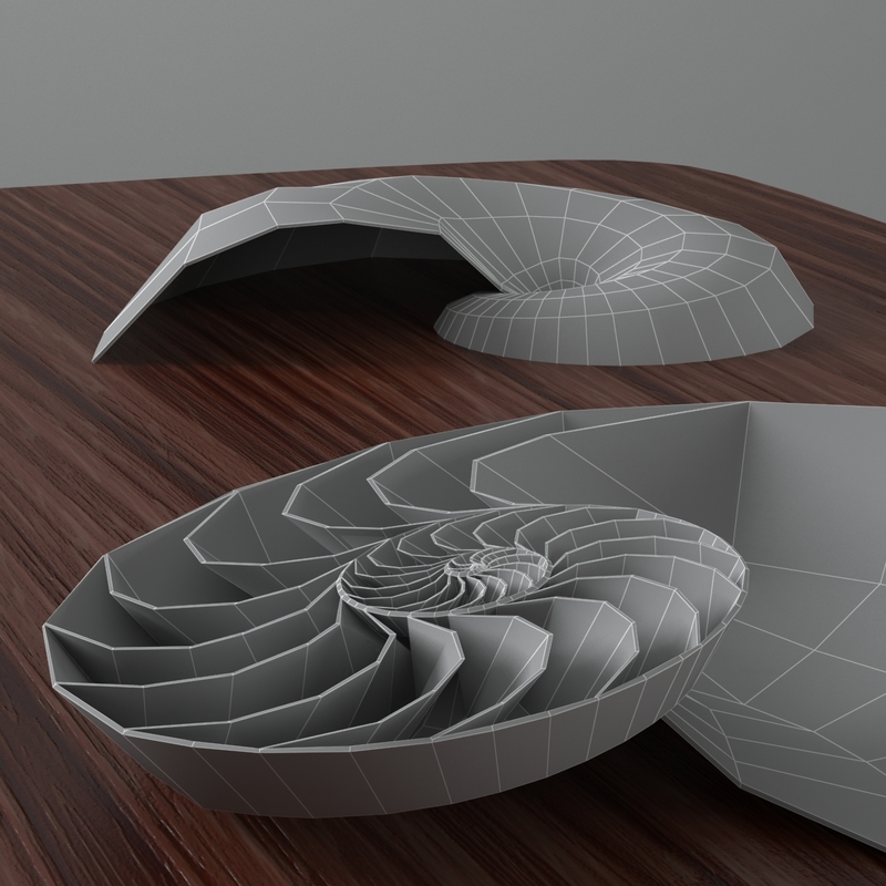 3d model nautilus shell