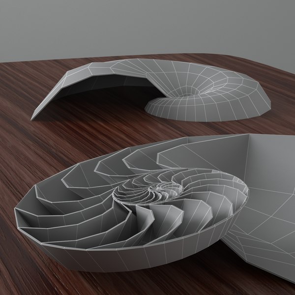 3d model nautilus shell