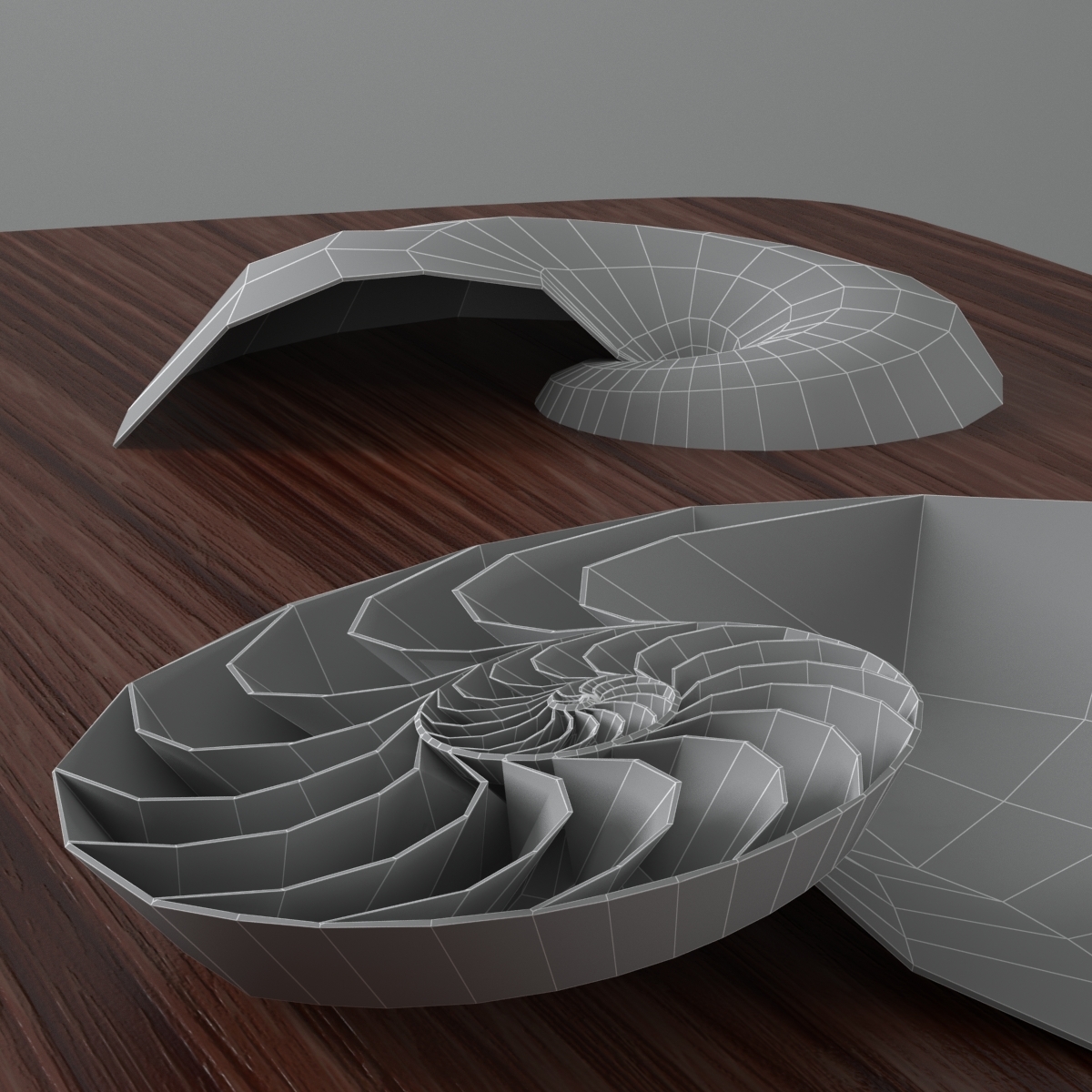 3d model nautilus shell