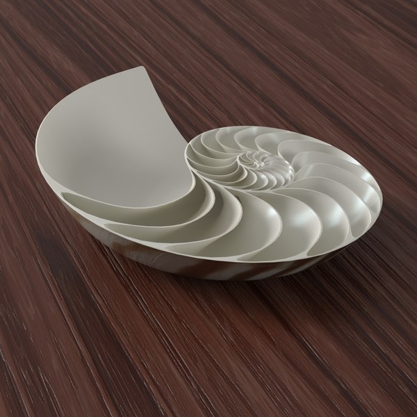 3d model nautilus shell