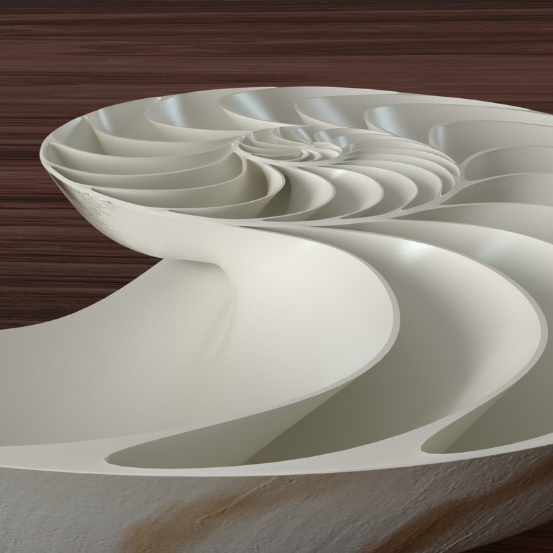 3d model nautilus shell