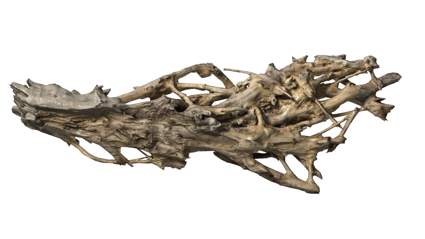 branch rotten wood 3d 3ds
