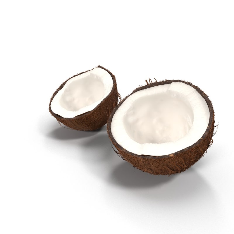 sliced coconut 3d model