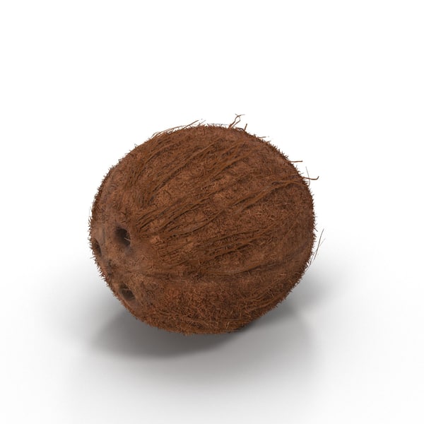 3D Coconut Models | TurboSquid