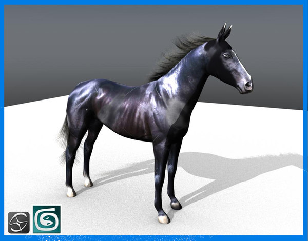 3d model black stallion